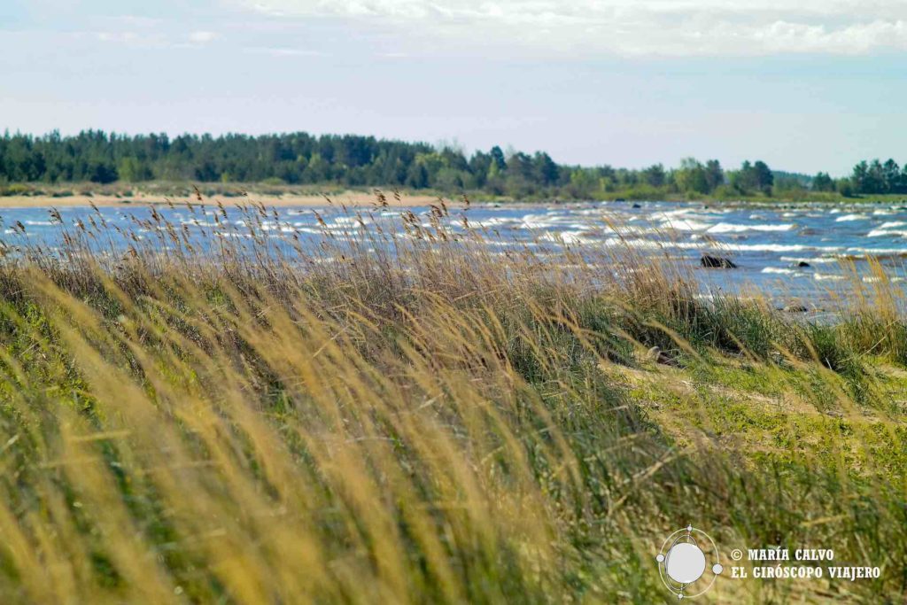 Isla de Hailuoto - Guía de Turismo de Finlandia